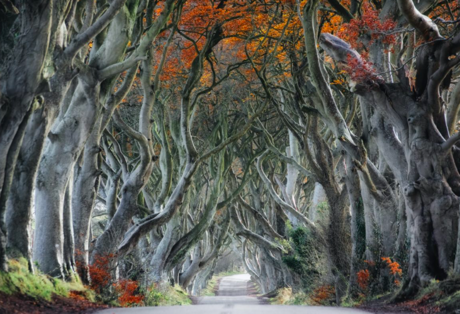 POETRY: Dear October, - The Prompt Magazine