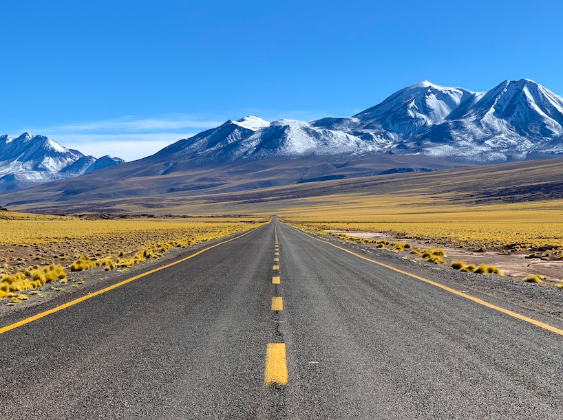 {Splat!} The Wisdom of Roadkill - The Prompt Magazine